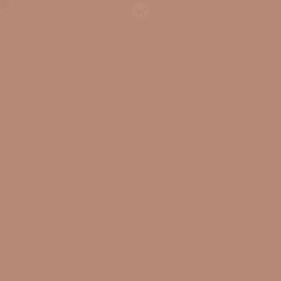 Siser EasyWeed HTV - Latte – Savvy Crafters Vinyl & Gifts